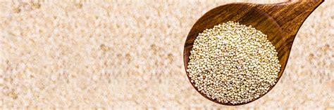 텍스트 디포커스 퀴노아 텍스처 배경에 대한 공간이있는 천연 나무 숟가락에 실제 흰색 퀴노아 스팟 포커스 0명에 대한 스톡 사진 및 기타 이미지 Istock