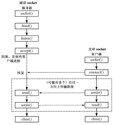 56 Socket 介绍 · Linux Programming Note