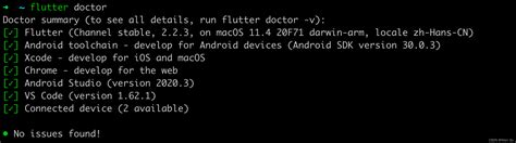 【flutter 问题系列第 56 篇】执行 Flutter Doctor 命令后提示 Unable To Find Bundled Java