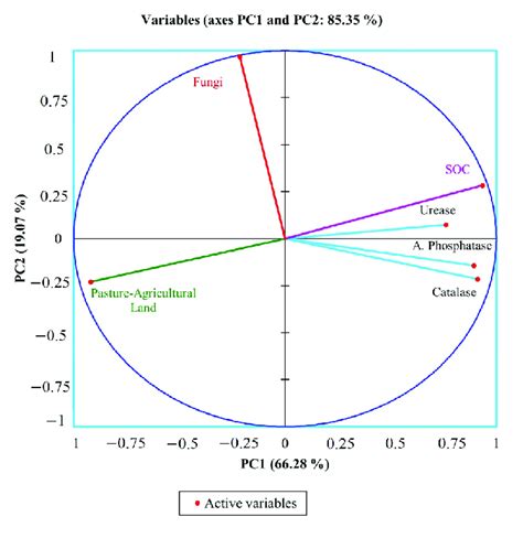 Principal Component Analysis Pca And Correlation Circle For Principal