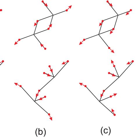 Eigenvectors Of Selected Raman Active Modes In β Teo3 The Modes Shown Download Scientific