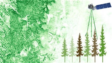 Cloud Based Aboveground Biomass Mapping