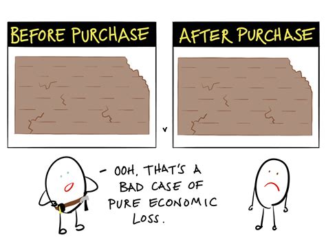 Pure Economic Loss Carlil And Carbolic Law Study Resources
