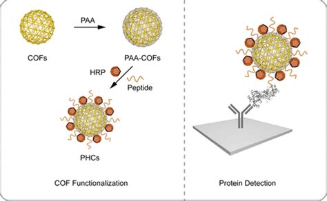 Functionalization Of Covalent Organic Frameworks With Peptides By Polymer Assisted Surface