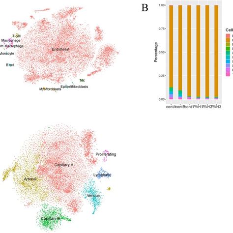 Heterogeneity Of The Ecs A The Umap Of Cell Types B The Download Scientific Diagram