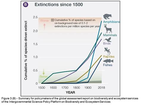 Geologist Uns Mass Extinction Lie Exposed Life Is Thriving Climate