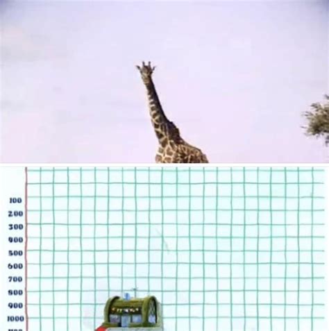 As You Can Tell By This Graph Ahem Graph R Spongebob