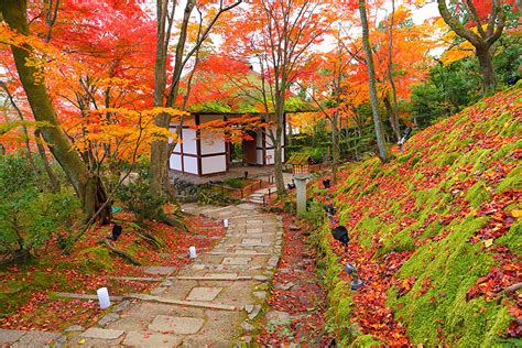 常寂光寺 紅葉