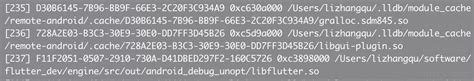 flutter engine c 源码调试初探 区长