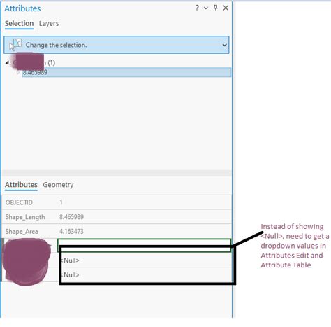 How To Customise Attribute Editor Esri Community
