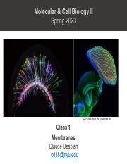 Understanding Cellular Membranes A Comprehensive Overview For Course Hero