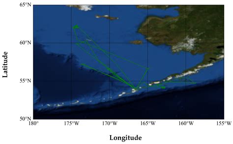 Ship Classification And Anomaly Detection Based On Spaceborne Ais Data