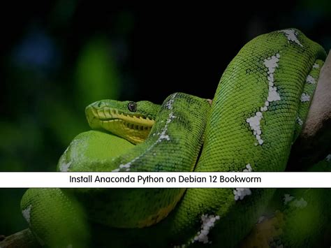 Easy Steps To Install Anaconda Python On Debian 12 Bookworm