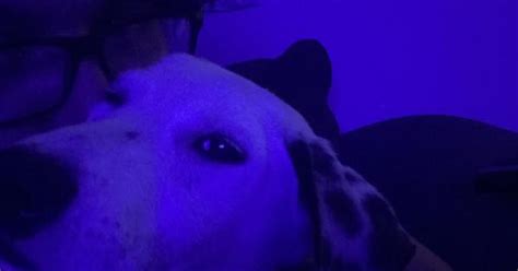 Luging Is Range Of Emotions While Watching The Classic Aladdin Album On Imgur