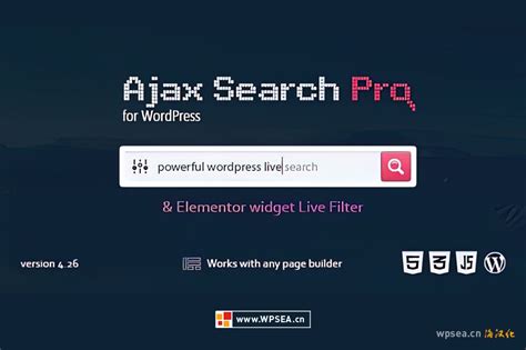 中文汉化 Ajax Search Pro V42615 实时wordpress搜索过滤插件wpsea模板