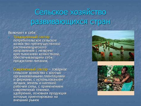 Сельское хозяйство мира Растениеводство Животноводство Рыболовство презентация онлайн
