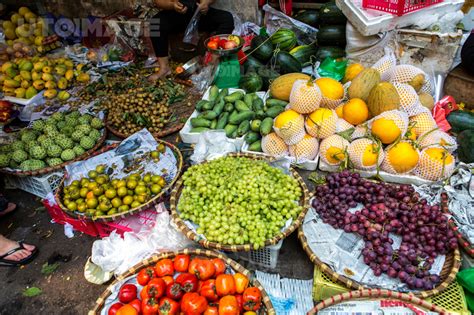 베트남 과일 유토이미지 상세페이지 베이직샵 사진 20988439