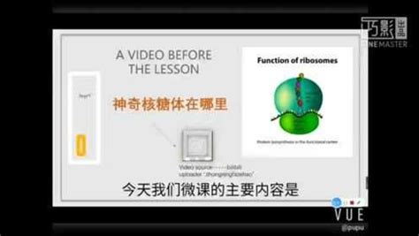 核糖体与蛋白质的生物合成（药200105） 腾讯视频