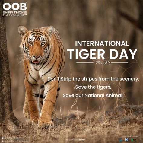 Jaymin Gajera On Linkedin Oob Smarthome