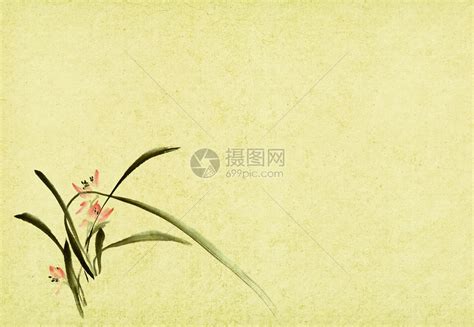 古色香的兰花传统水墨画高清图片下载 正版图片503407373 摄图网