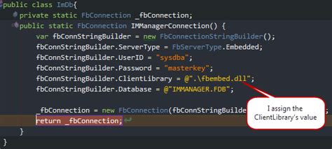 C Dont Load Fbembeddllbut Its Good In Test Case Stack Overflow
