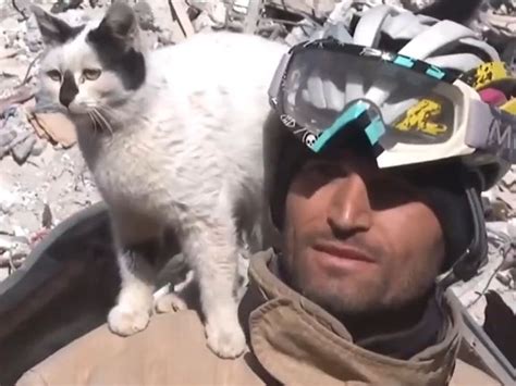 Рятувальник дістав з під завалів кота який тепер вважає чоловіка своїм новим господарем