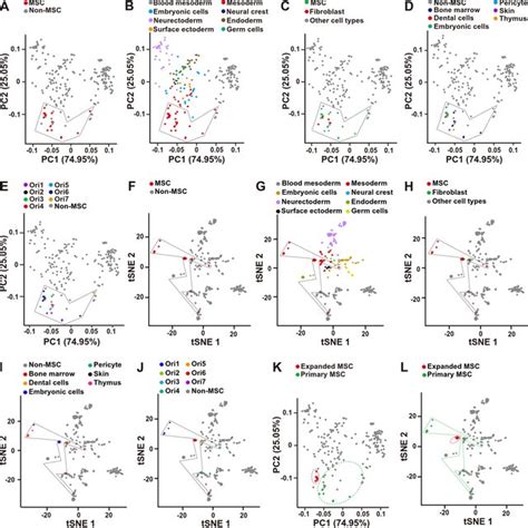 Differential Gene Expression Analysis Between Mscs And Non Mscs A Top