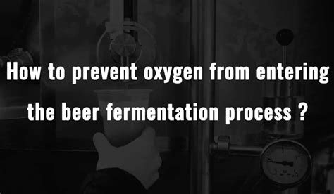 How To Prevent Oxygen From Entering The Beer Fermentation Process Micet Group