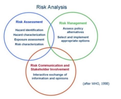Risk Analysis Cio Wiki