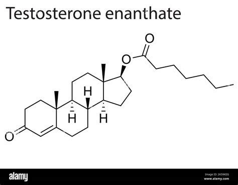 Testosterone Enanthate Skeletal Structure Molecule Vector Editable File Stock Vector Image And Art