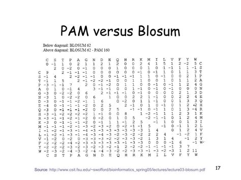 Ppt Alignment Iv Blosum Matrices Powerpoint Presentation Free