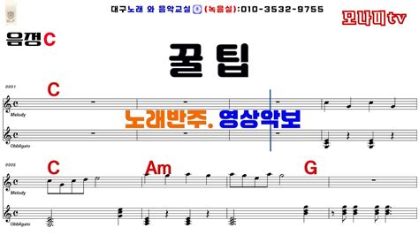 꿀팁 박서진 노래반주 기타악보 영상악보 노래방 오카리나 하모니카 Mr Youtube