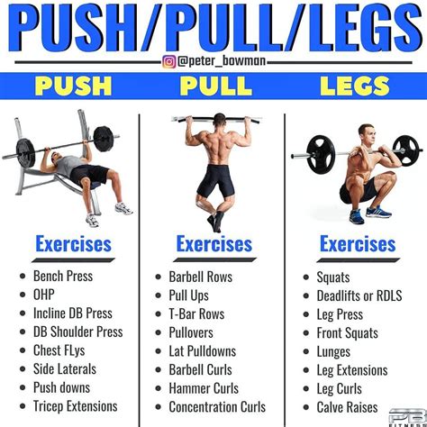 Workout Push Pull Legs Workout Cardio Routine