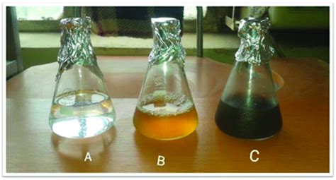 A Silver Nitrate Solution B Plant Extract And C Silver Nitrate Download Scientific