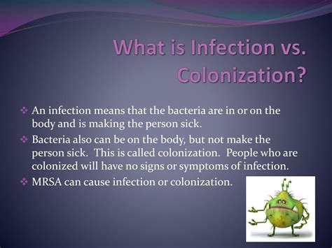 Ppt Mrsa Prevention And Care Methicillin Resistant Staphylococcus Aureus Powerpoint Presentation