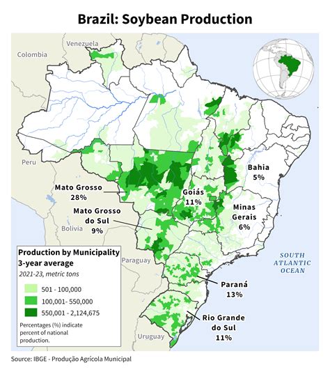 Brazilian Soybean Soja Soya Bean