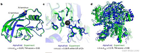 论文笔记：highly accurate protein structure prediction with alphafold alphafold 2 and appendix csdn博客