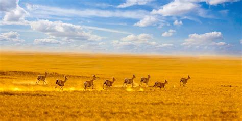 Электрон Жаал Өмнөговь аймаг Даланзадгад зочид буудал Facebook