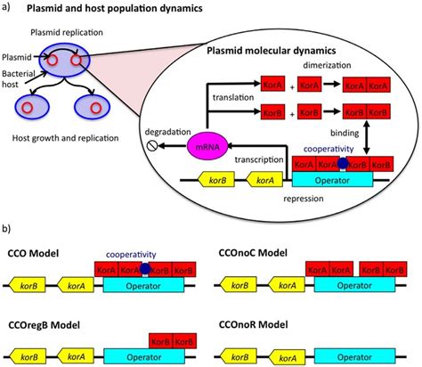Model Representation A Multi Scale Stochastic Model Of Gene