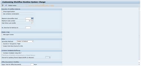 SWPA SAP Tcode Runtime System Customizing