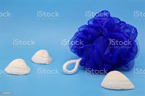 복사 공간이있는 파란색 배경 근접 촬영 사진에 바다 껍질이있는 파란색 메쉬 Pouf 목욕 스폰지 수건 부드러운 합성 샤워 세척 천 세척 위생 디자인 요소 스파 바디 케어