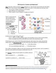 DNA SHO Docx DNA Structure Function And Replication DNA Molecules Contain Our Genes Genes