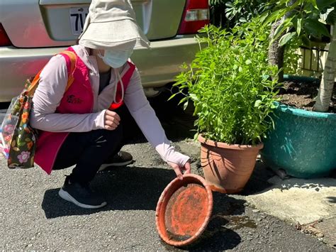 登革熱外縣市移入快篩陽增1例 竹市緊急應變小組啟動防治作為 政治快訊 要聞 Nownews今日新聞