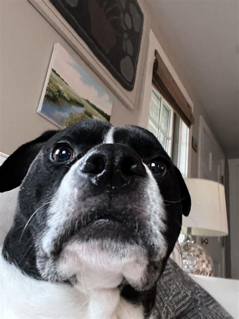 Pixar Moms Rcomedynecrophilia