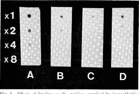 Figure 1 From Immunohistochemical Localization Of Inhibin In Porcine