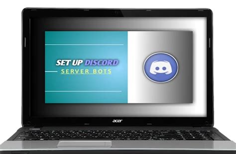 Set Up Server Bots In Discord By Berturtle Fiverr