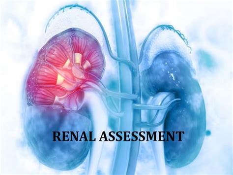 Renal Assessment Pptx