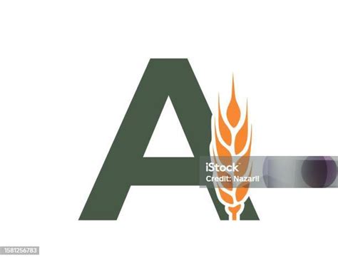 밀 이삭이 있는 편지 A 수확 알파벳 로고 농업 곡물 작물 및 곡물 농업 설계 가을에 대한 스톡 벡터 아트 및 기타 이미지