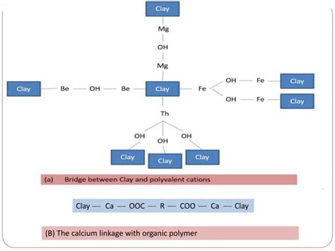 Seminar Soil Aggregation Pptx Gardening Home And Garden