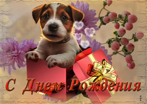 Радужная гиф открытка с собачкой С днем Рождения Скачать бесплатно на